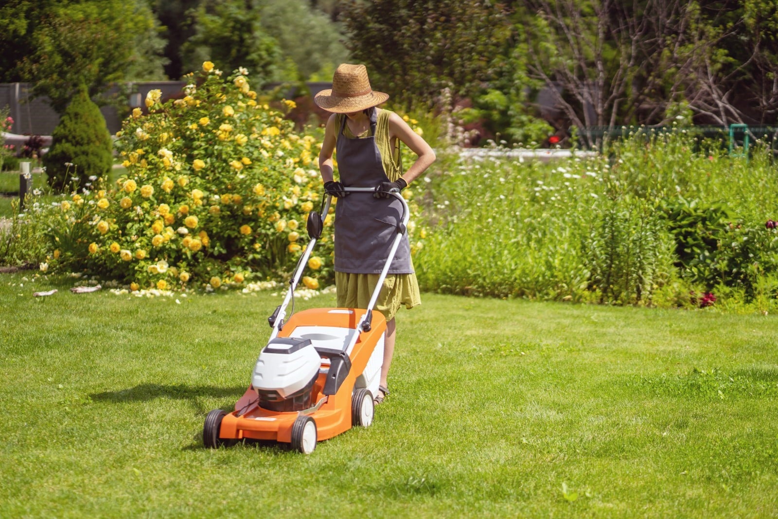 How to properly mow your lawn - Seezon UK